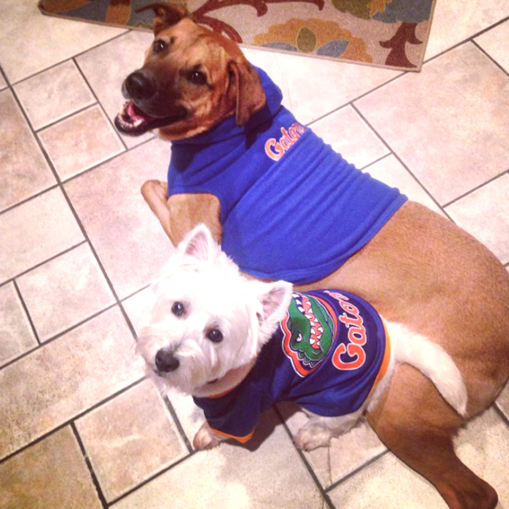 All Star Dogs: Image Gallery - Show off your pet.