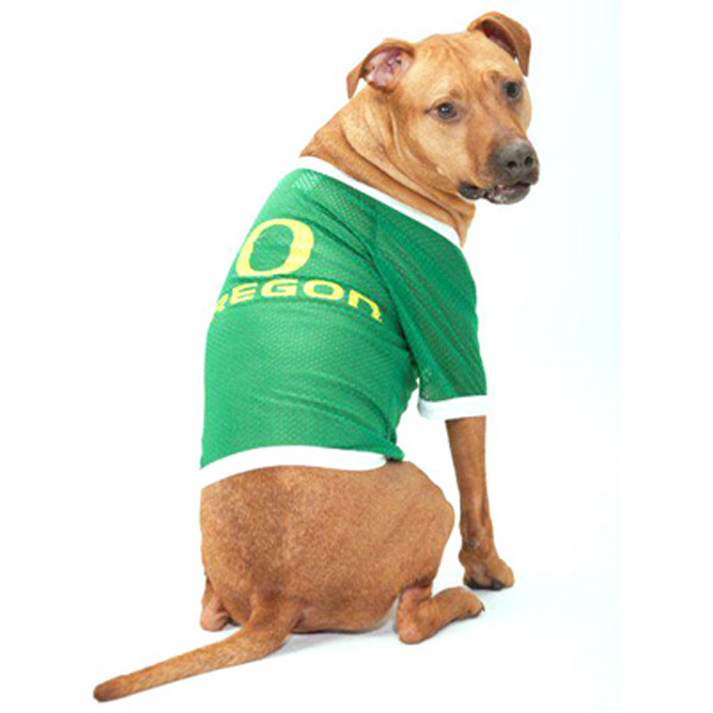 All Star Dogs: Image Gallery - Show off your pet.