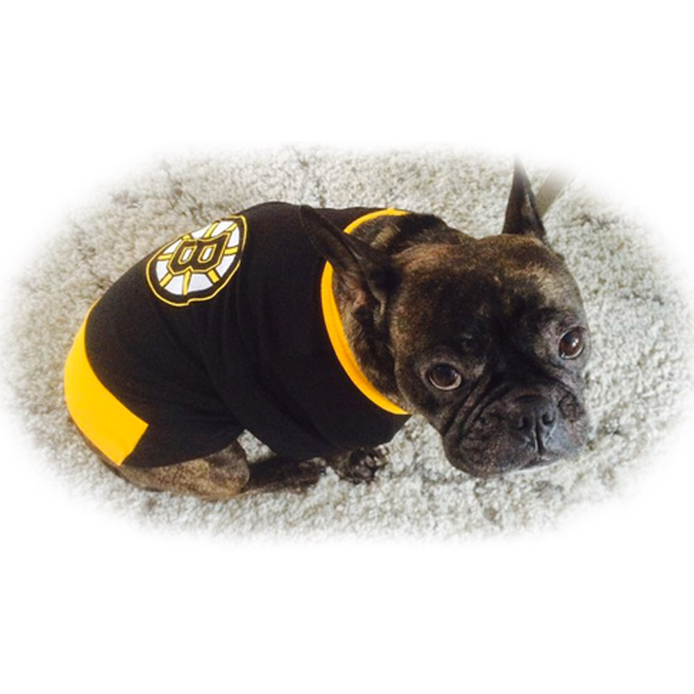 All Star Dogs: Image Gallery - Show off your pet.