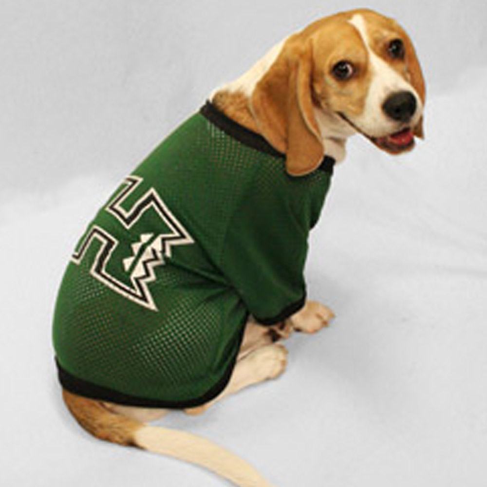 All Star Dogs: Image Gallery - Show off your pet.