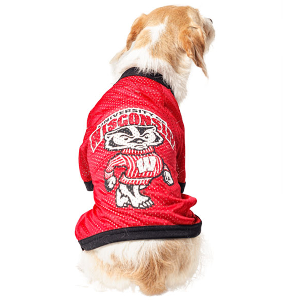 All Star Dogs: Image Gallery - Show off your pet.