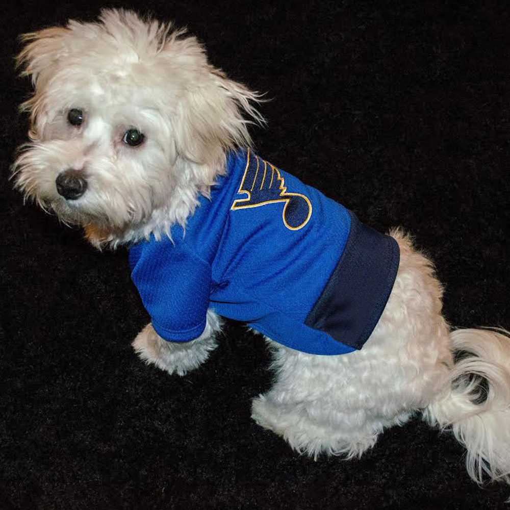 All Star Dogs: Image Gallery - Show off your pet.