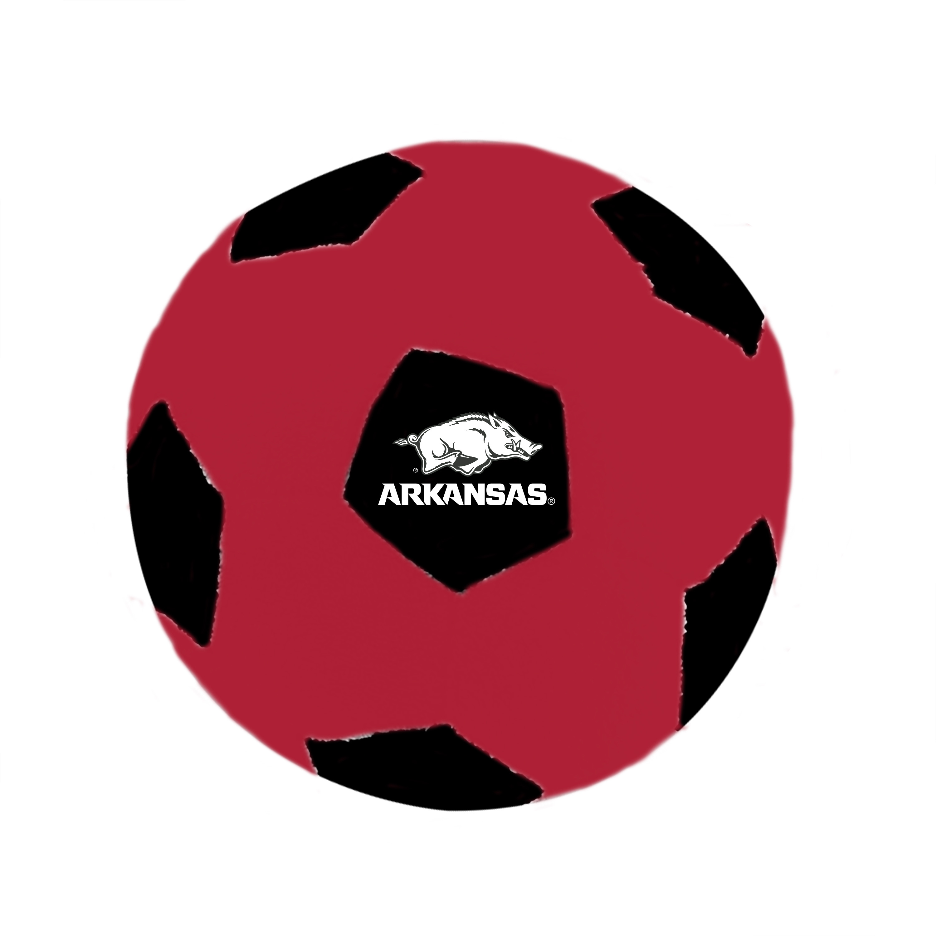 University of Arkansas Razorbacks Pet Supplies