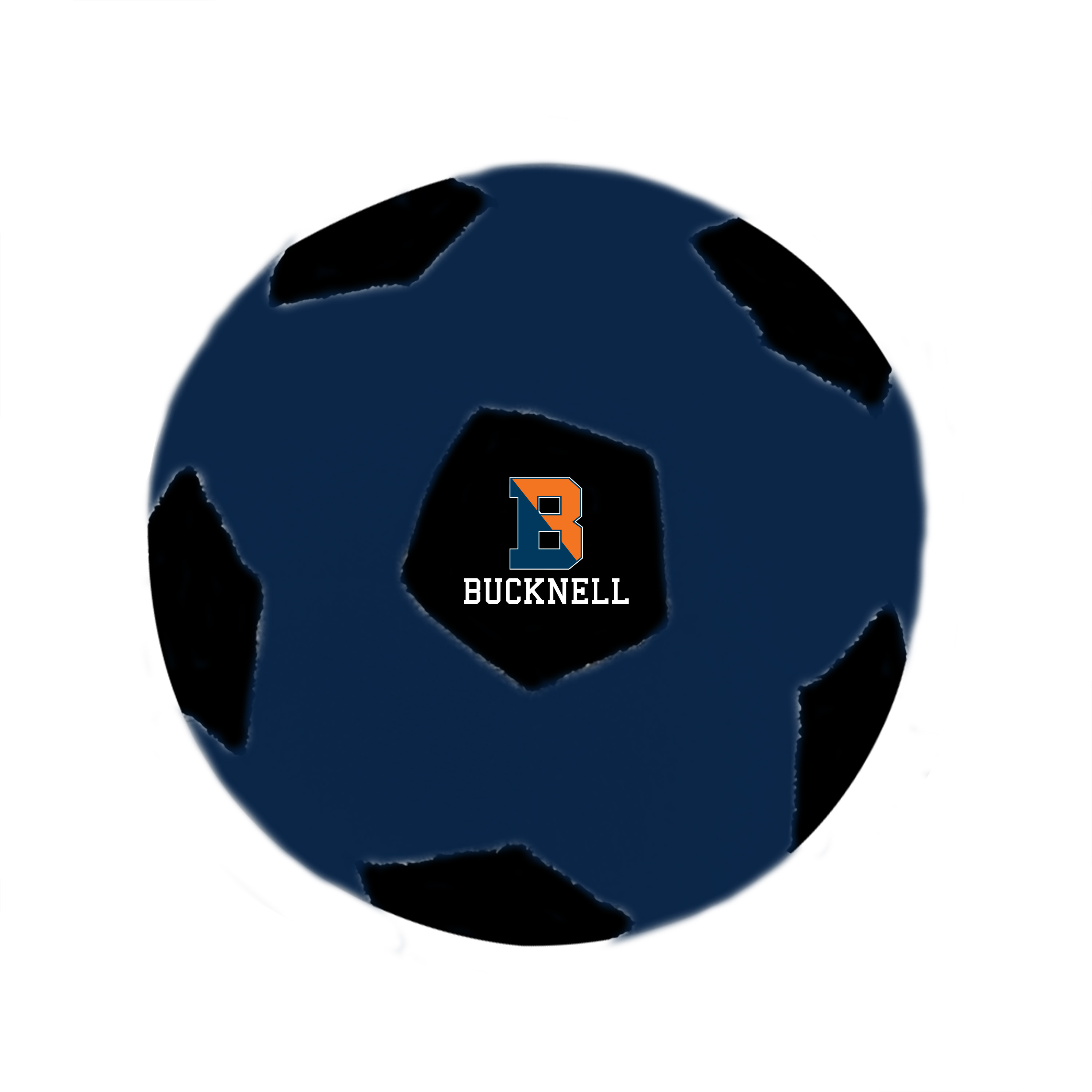 Bucknell University Bison Pet Supplies