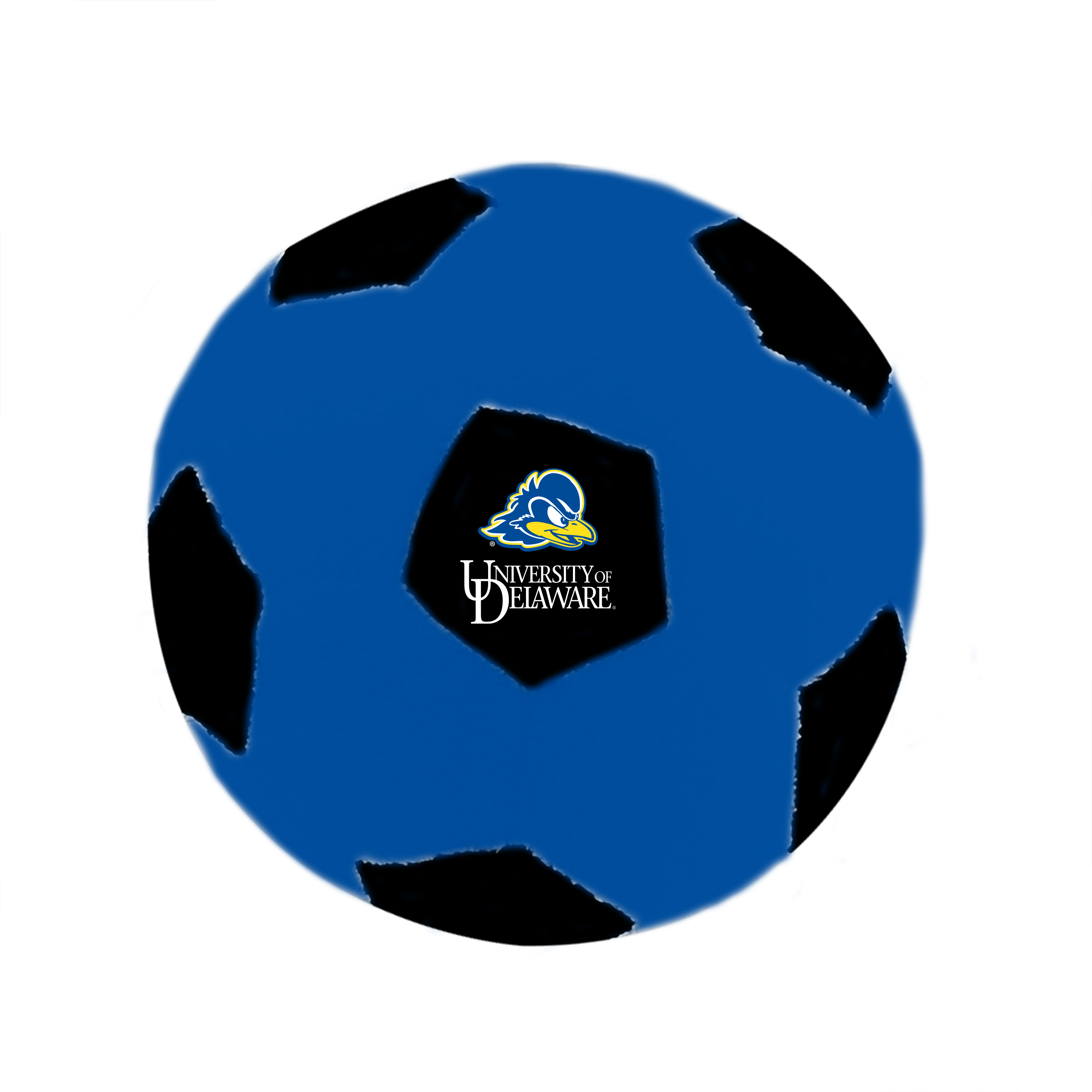 University of Delaware Fightin' Blue Hens Pet Supplies