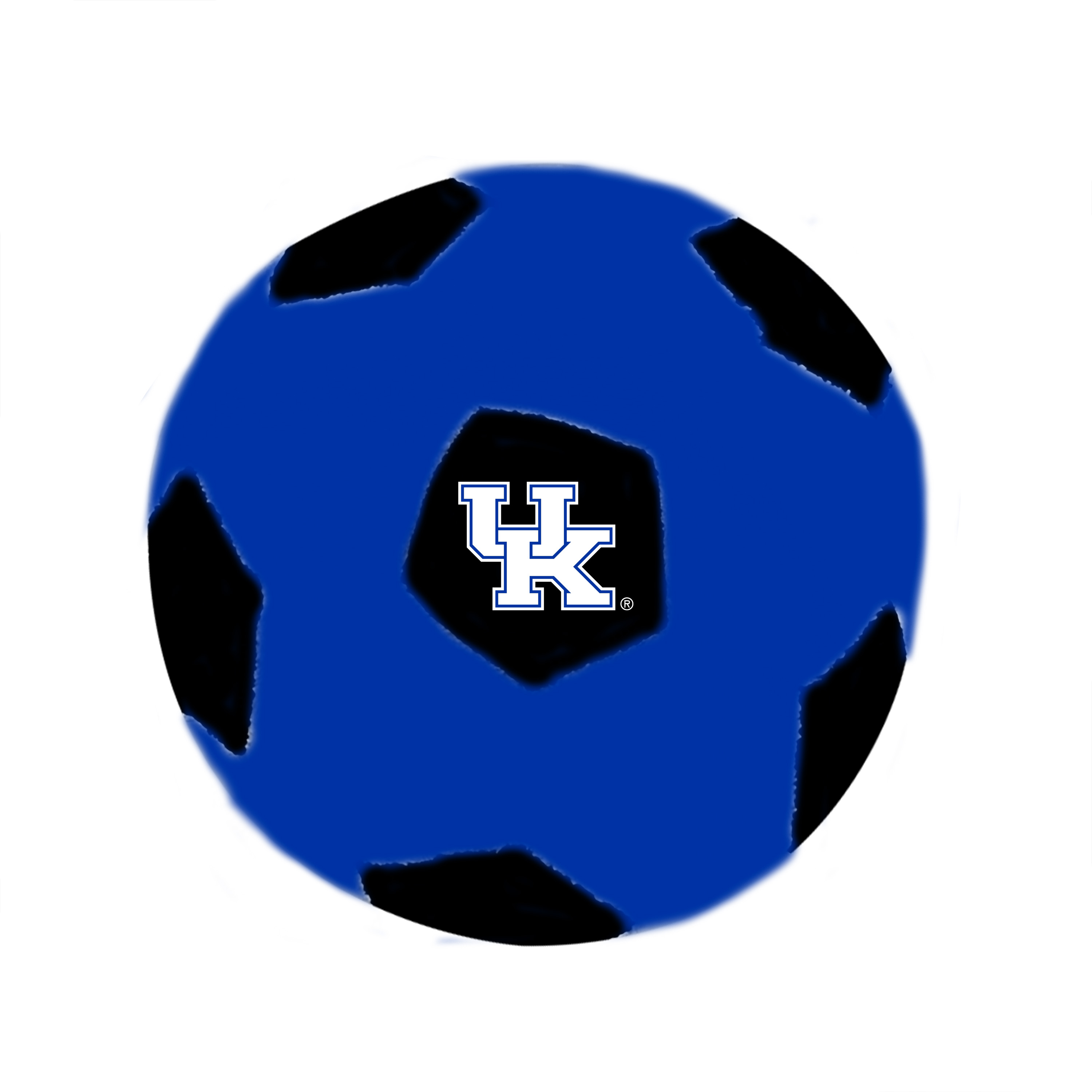 University of Kentucky Wildcats Pet Supplies
