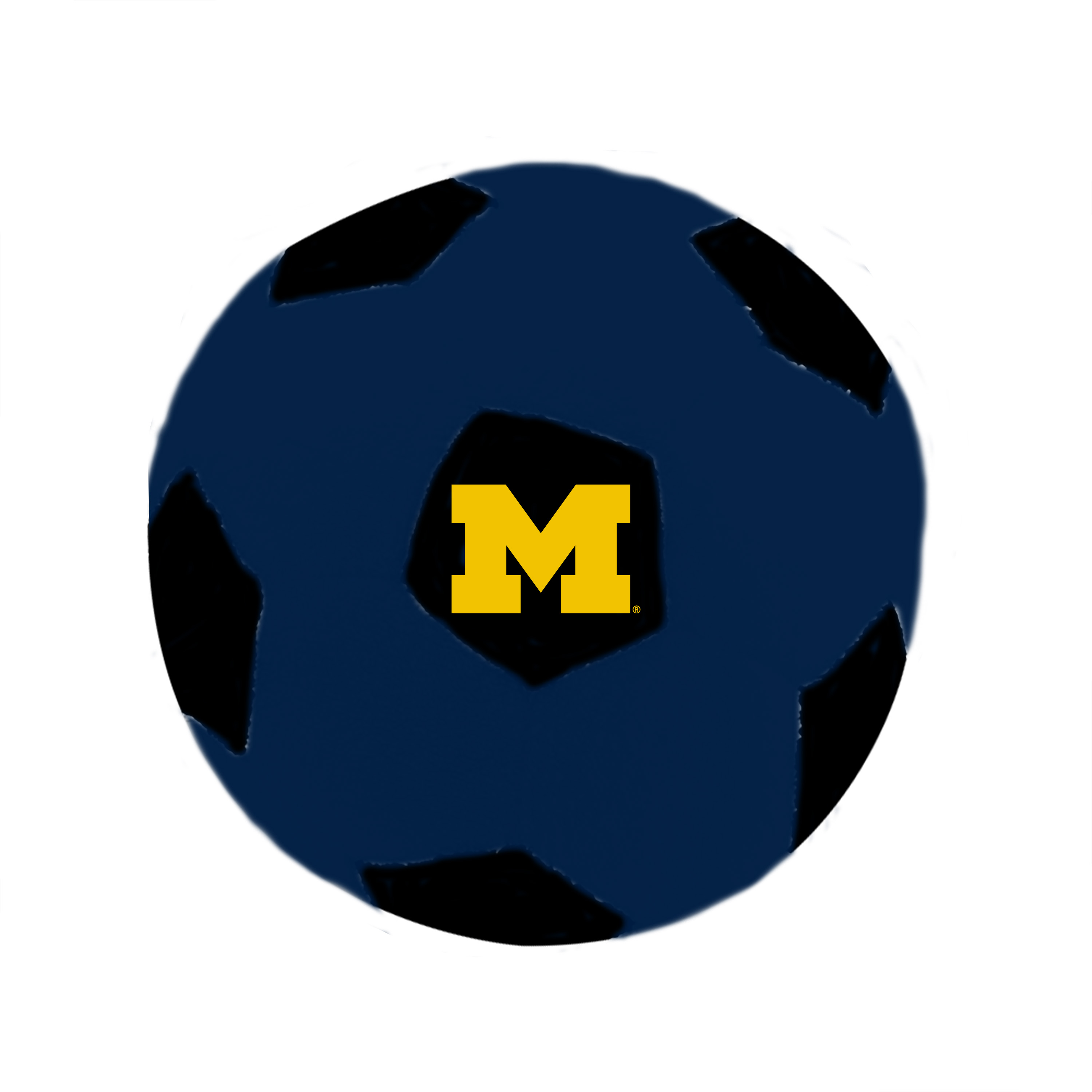 University of Michigan Wolverines Pet Supplies
