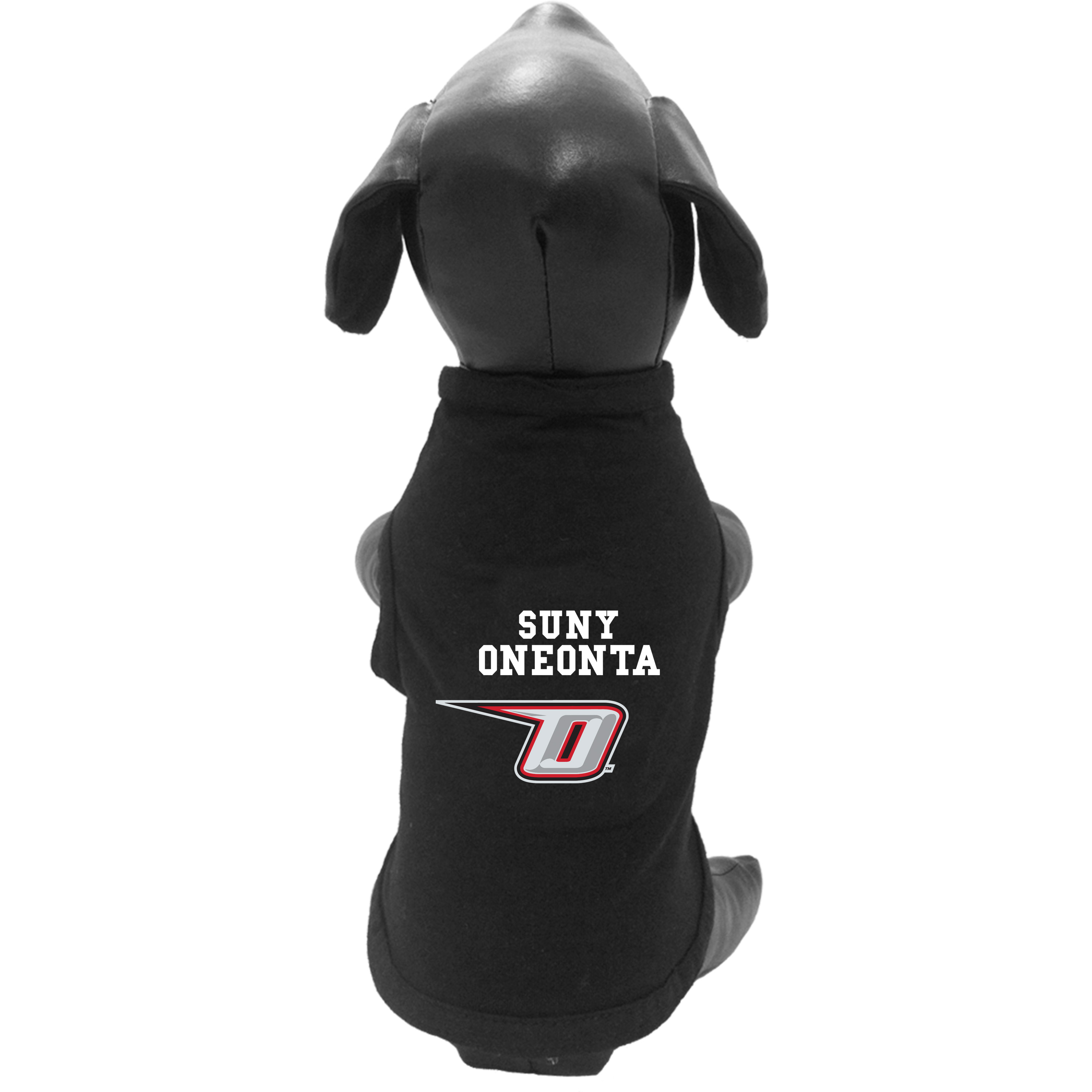 SUNY Oneonta Red Dragons Pet Supplies