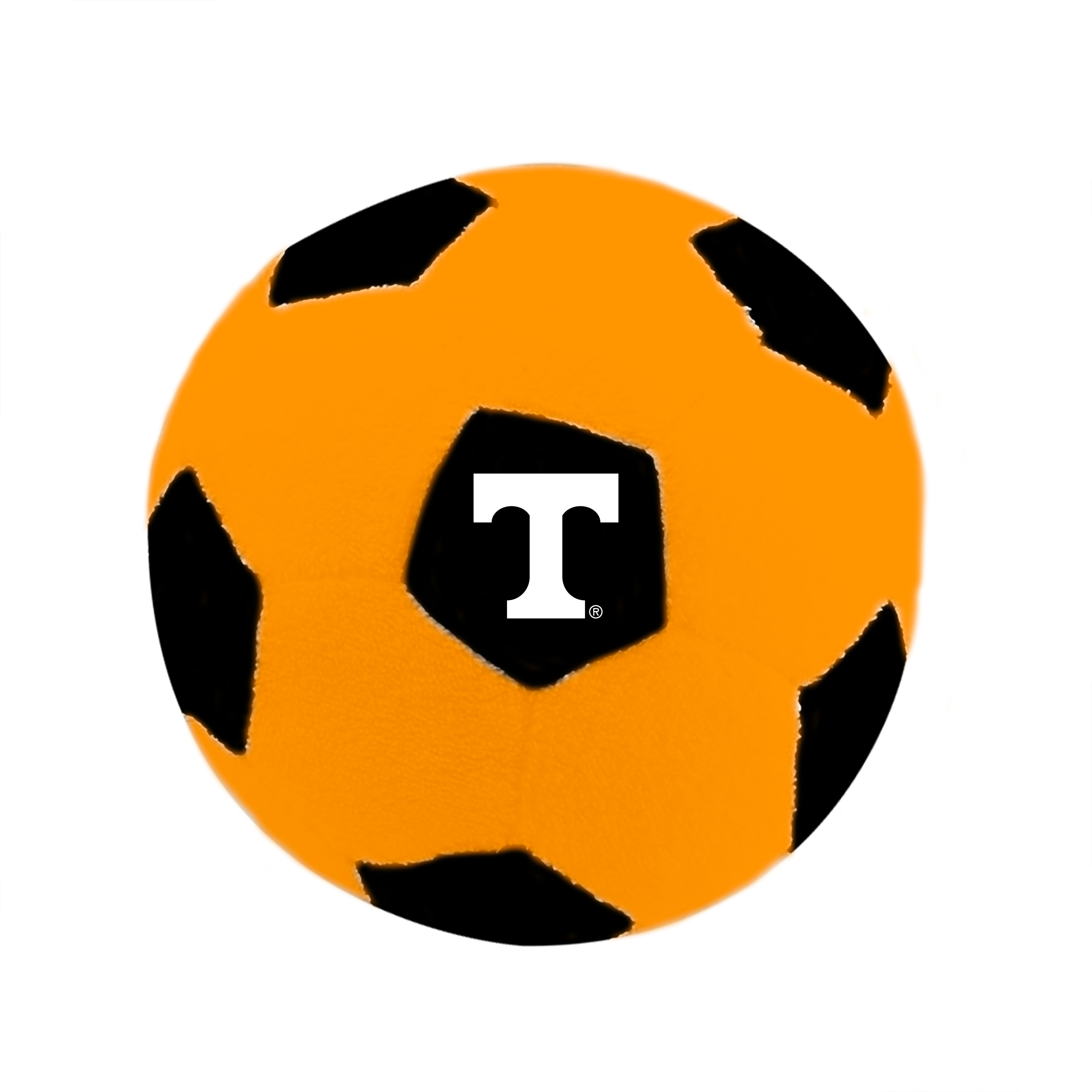 Tennessee Volunteers Pet Supplies