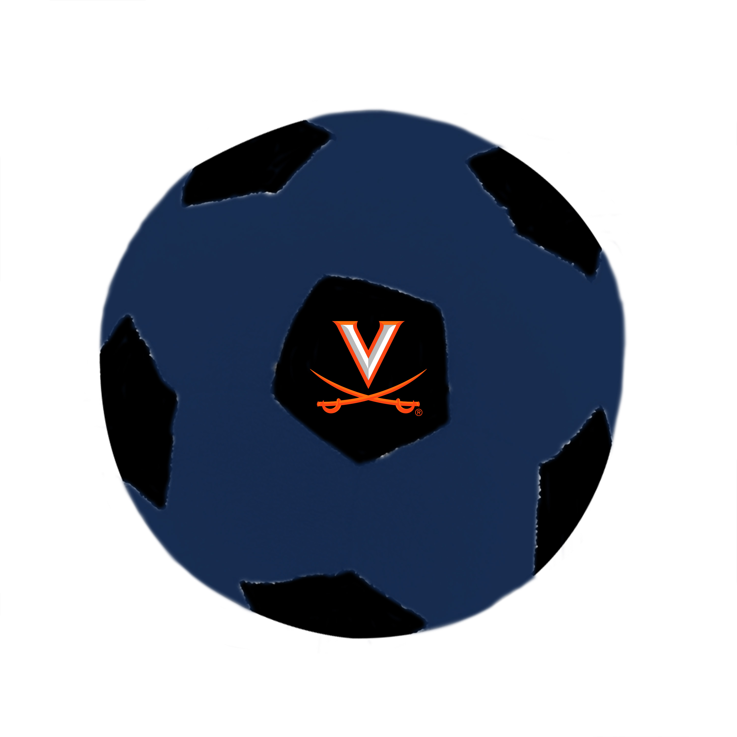 University of Virginia Cavaliers Pet Supplies