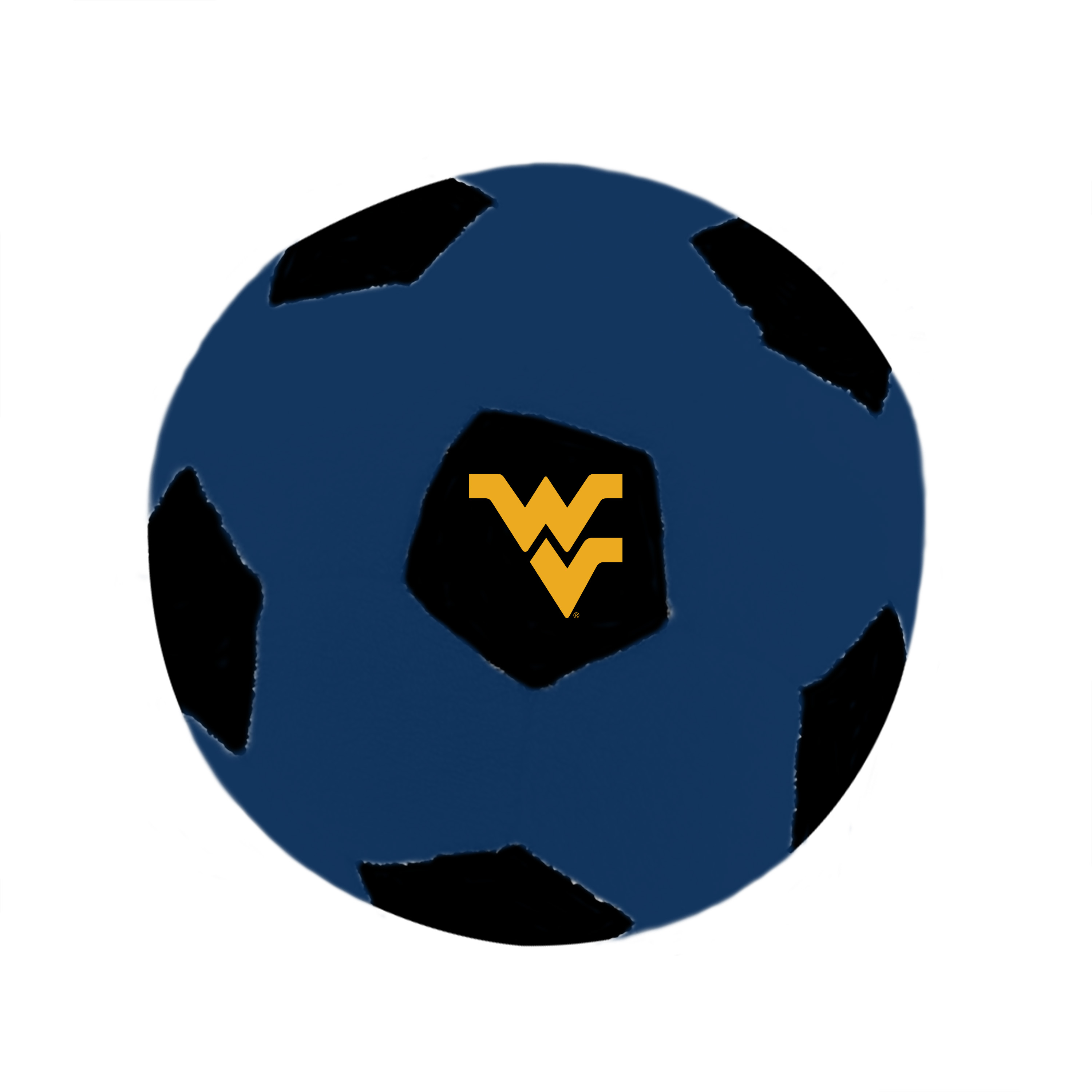 West Virginia University Mountaineers Pet Supplies